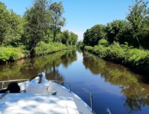 Shannon Cruises: Explore the River Shannon with Carrickcraft